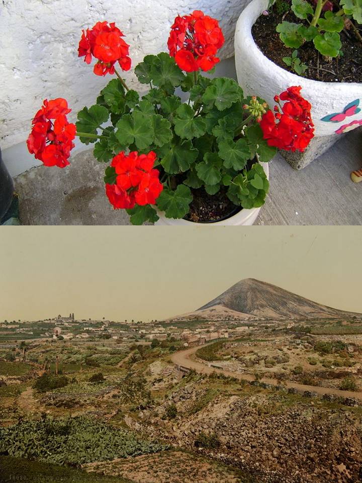 La plaza de mi barrio :: Vivo Narrando